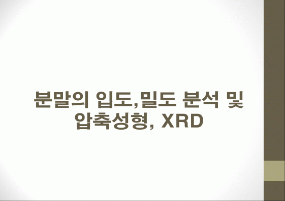 분말성형체 발표