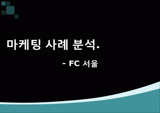 FC서울 스포츠마케팅 전략분석