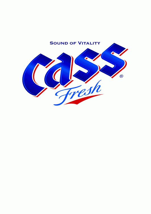 CASS 카스 맥주 마케팅사례분석