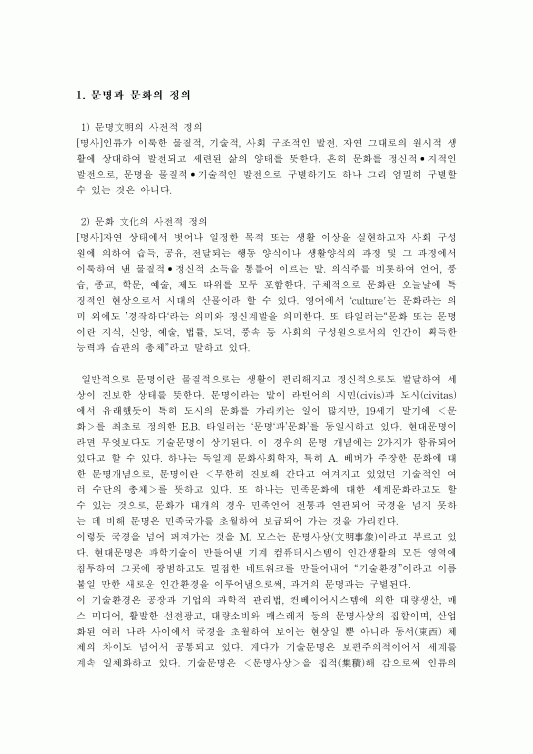 문화와 문명 레포트 자료