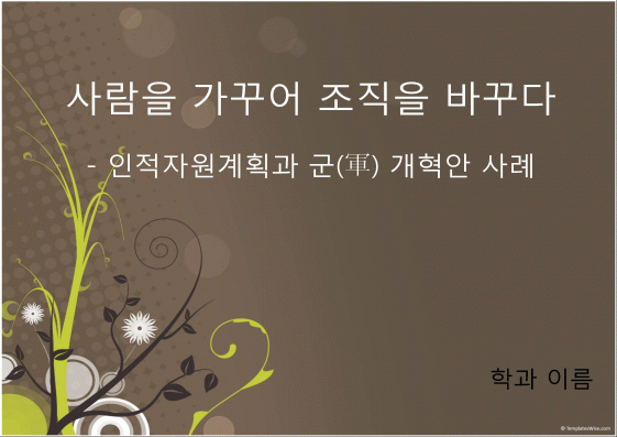 인적자원계획과 군개혁안 사례