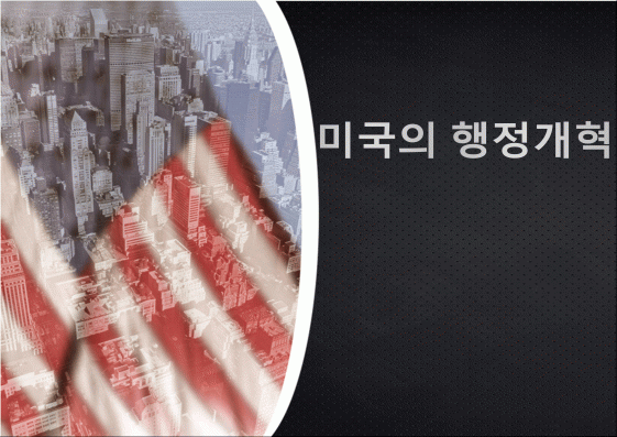 미국의 행정개혁