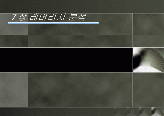 레버리지분석