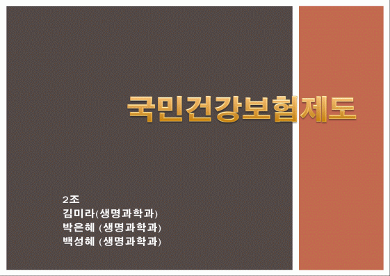 국민건강보험제도 [사회과학]