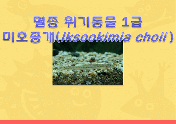 멸종위기동물 1급 미호종개