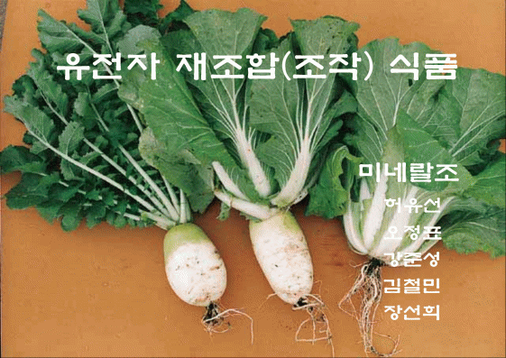 유전자 재조합 식품(유전자변형식품)