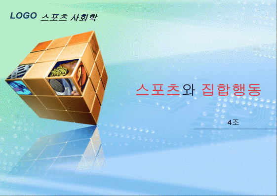 스포츠와 집합행동에 대한 ppt발표자료