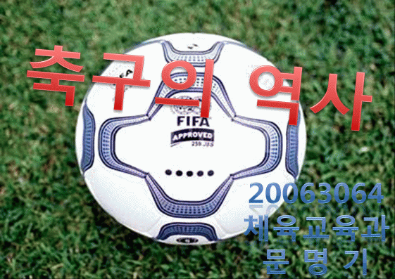 축구의 역사 레포트 자료