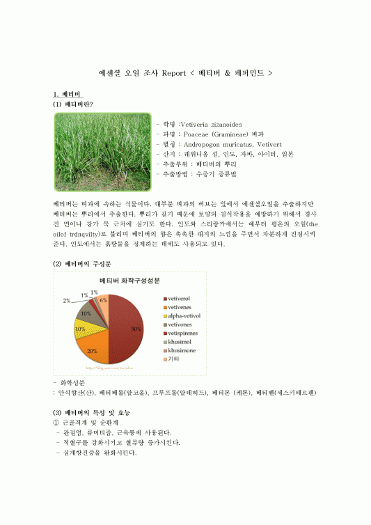 에센셜 오일 조사  (베티버 & 페퍼민트)
