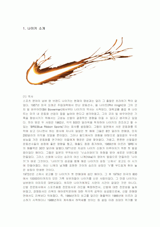 나이키의 마케팅 전략 및 평가와 향후 개선책