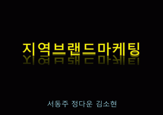 지역브랜드마케팅 - 함평