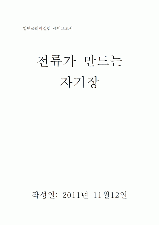 전류가 만드는 자기장 예비보고서
