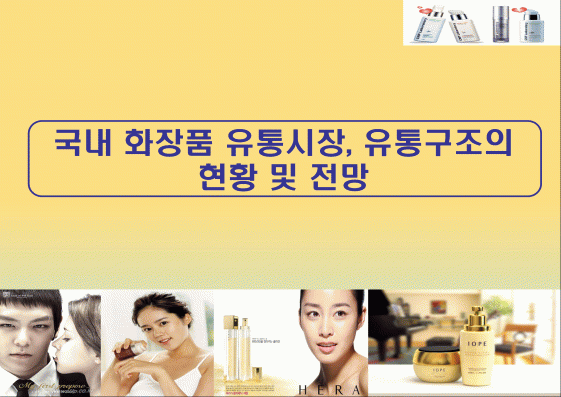 국내 화장품 유통시장, 유통구조의 현황 및 전망