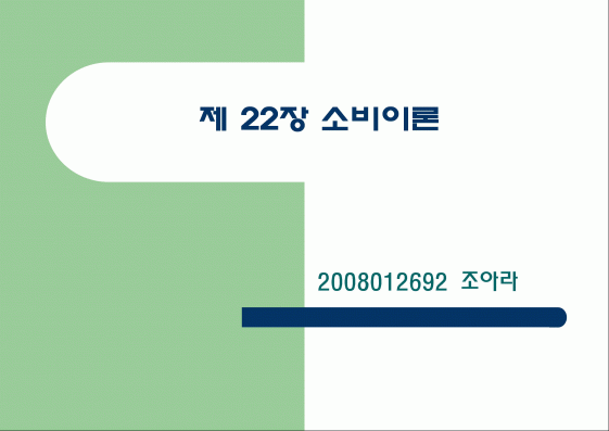 소비이론 레포트 자료
