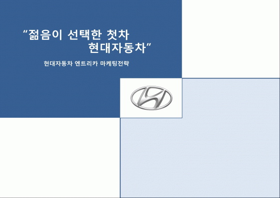 현대자동차 앤트리카 마케팅 전략