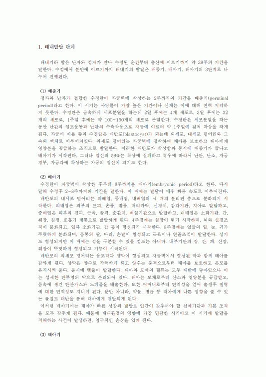임신기간 중 태내환경연구
