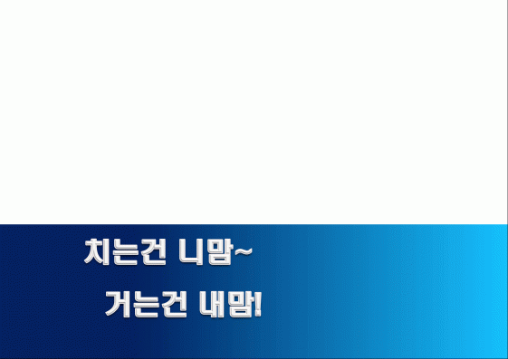 삐삐 레포트 자료