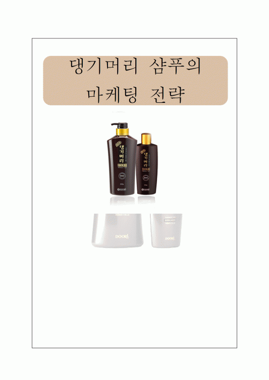 댕기머리 샴푸의 마케팅 전략