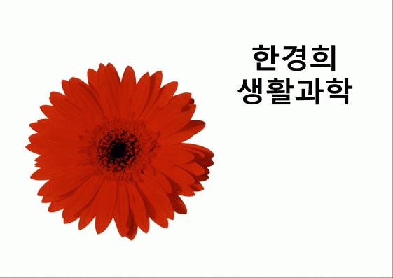 한경희_ 레포트 자료