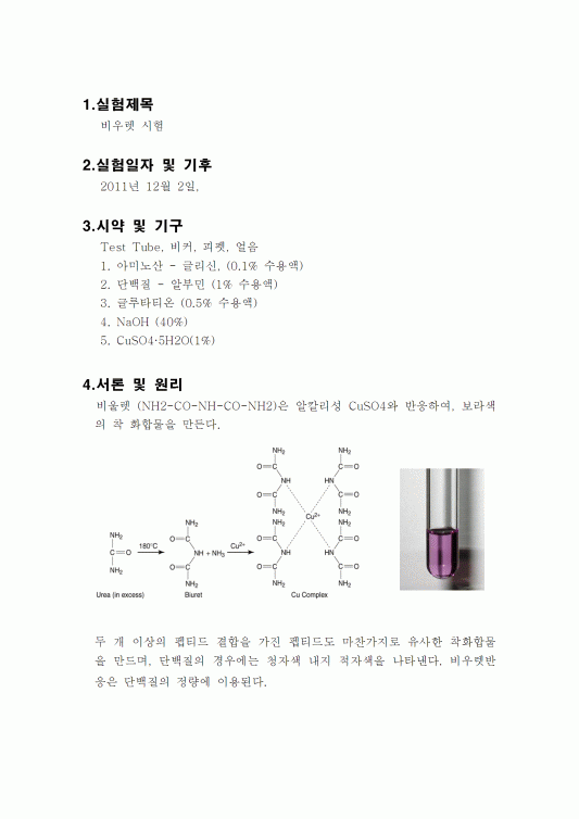 14.비우렛 시험
