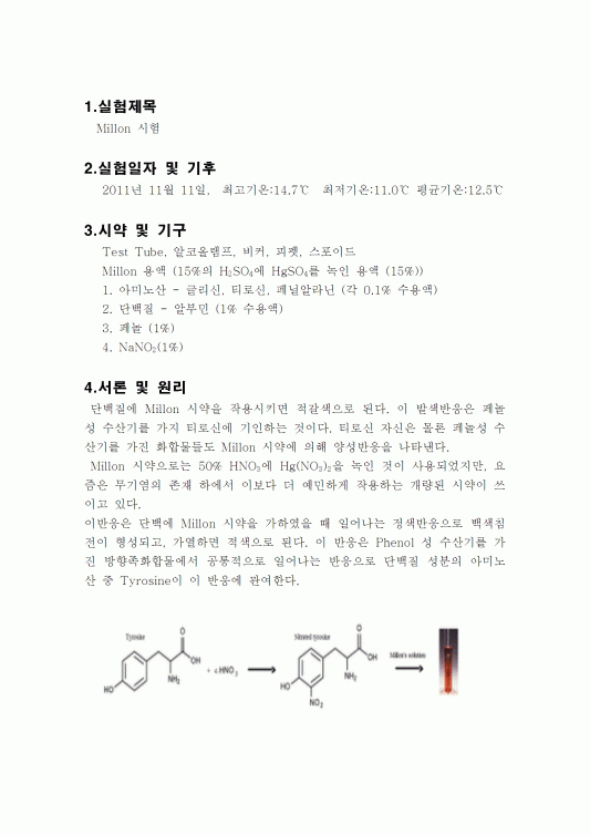 10.Millon 시험 레포트 자료