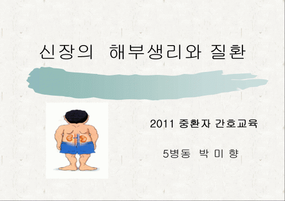 신장의  해부생리와 질환
