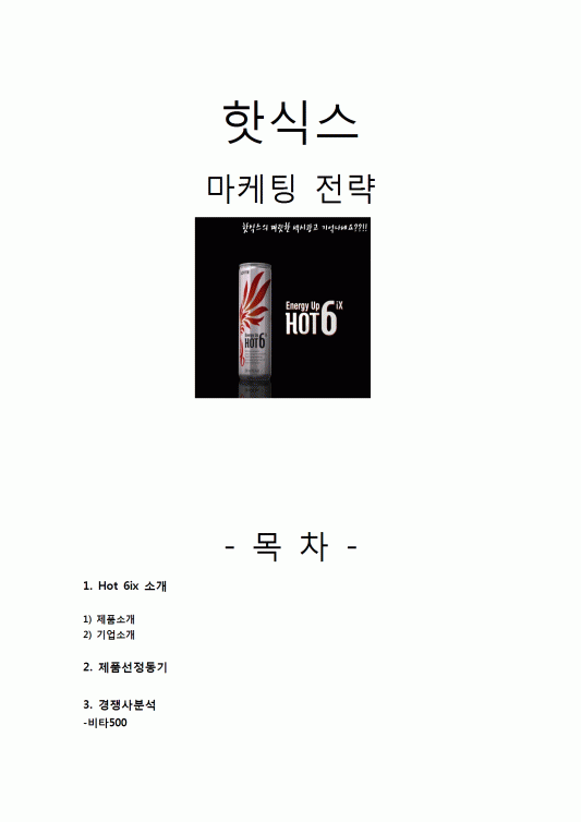 핫식스 (Hot6ix) 마케팅 전략분석과 new 마케팅 전략제안