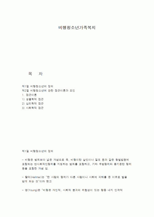 비행청소년가족복지