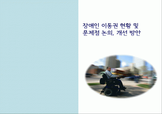 장애인 이동권 현황 및 문제점 논의, 개선 방안