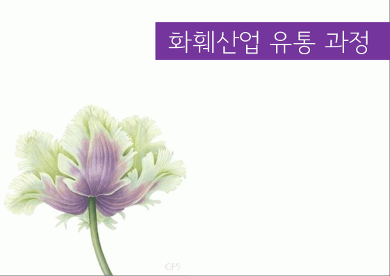 화훼산업 유통 과정