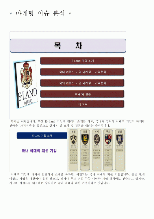마케팅 이슈 분석
