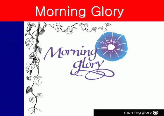 모닝글로리 (Morning Glory)