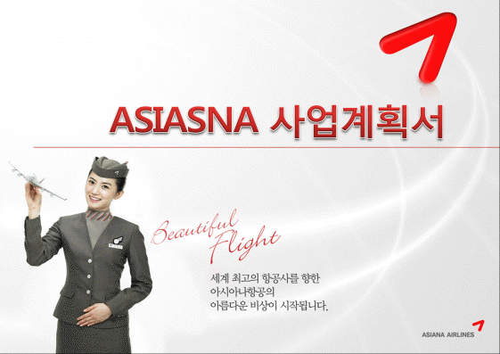 아시아나 (ASIASNA) 항공 사업계획서 - 사업실적 분석, 환경분석 및 전략과제, STP전략, 마케팅 전략
