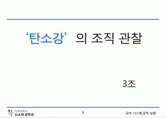 탄소강의 조직 관찰