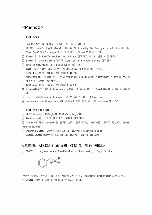 [생화학실험] RNA polymerase 분리 정제