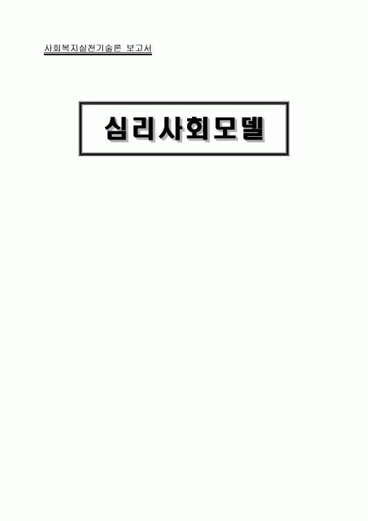 심리사회모델_보고서