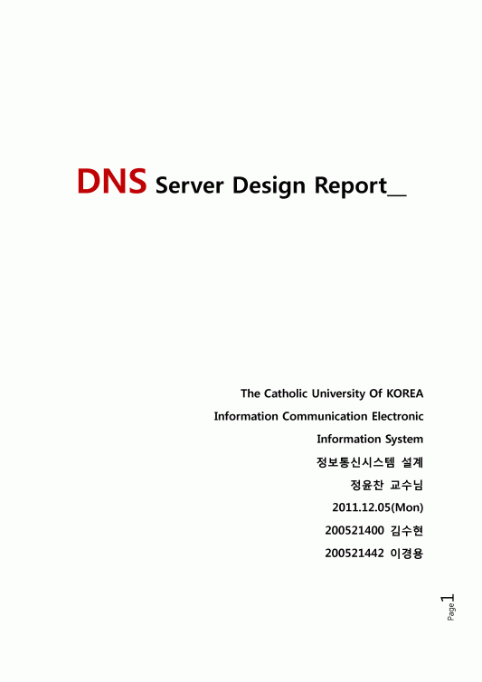 DNS server 최종 보고서