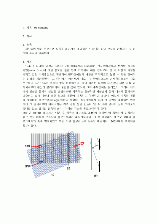 [사회과학] 홀로그래피
