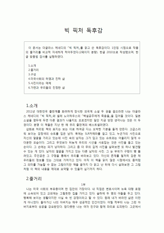 더글라스 케네디의 빅 픽처 독후감