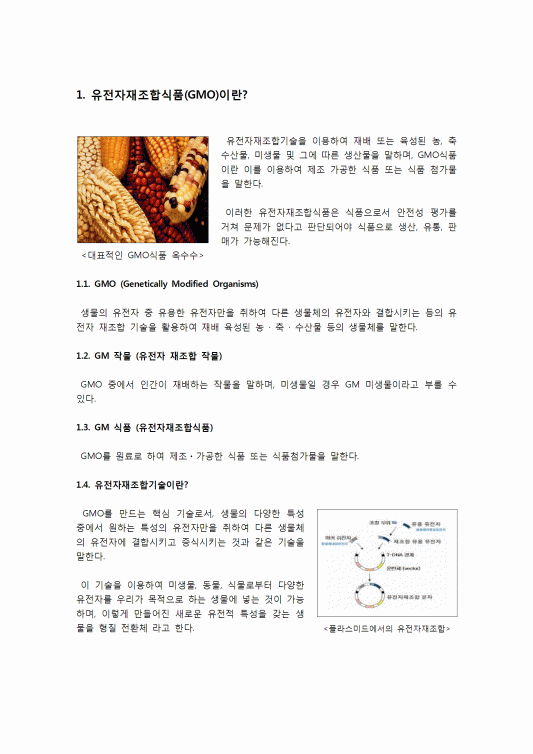 유전자재조합식품 GMO 장점과 우수성 및 필요성, 올바른 이해