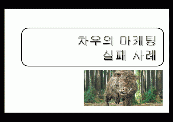 차우의 마케팅 - 실패 사례
