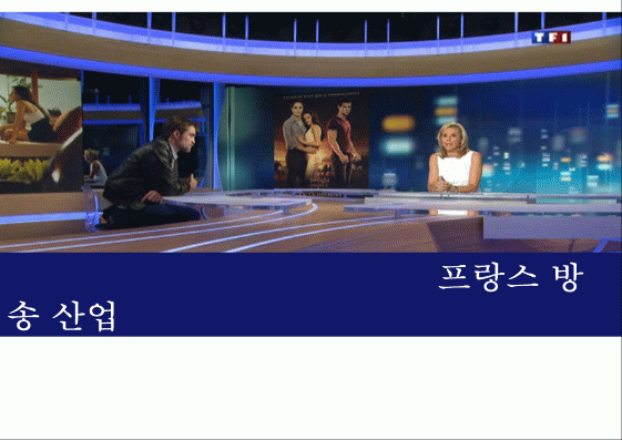 프랑스 방송 산업