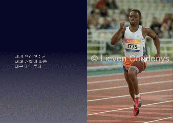 세계 육상선수권 대회 개최에 따른 대구지역 투자
