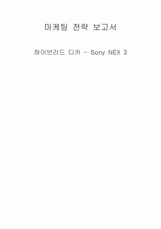 [마케팅 전략 보고서] 하이브리드 디카 - Sony NEX 3