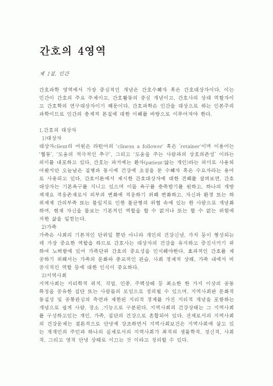 간호의 4영역 요약