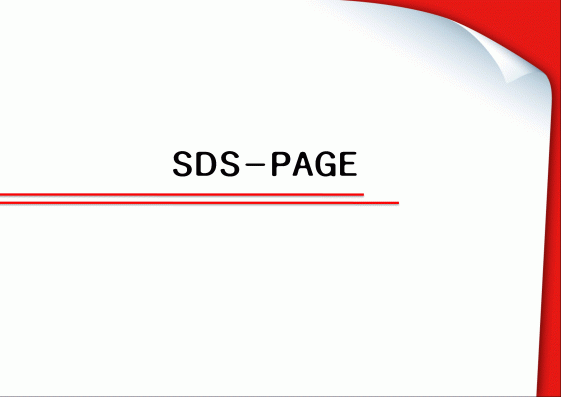 SDS-PAGE 레포트 자료