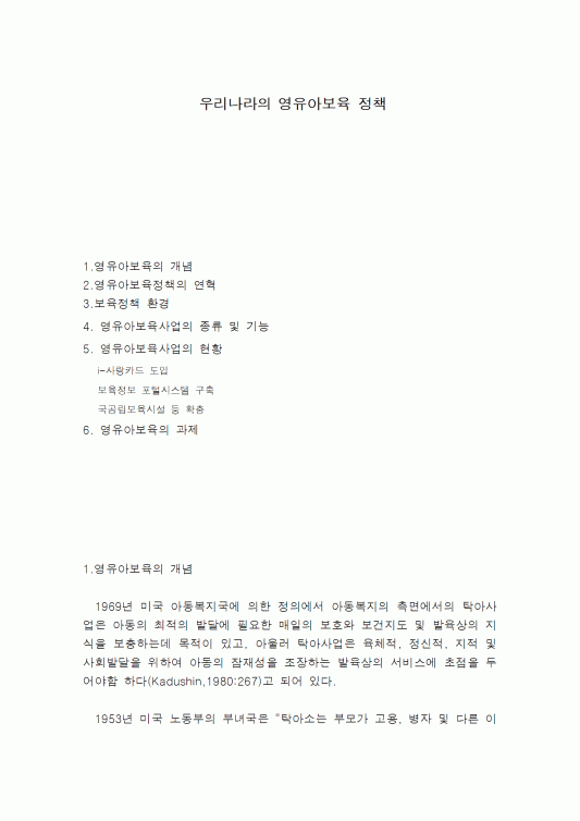 우리나라의 영유아보육 제도