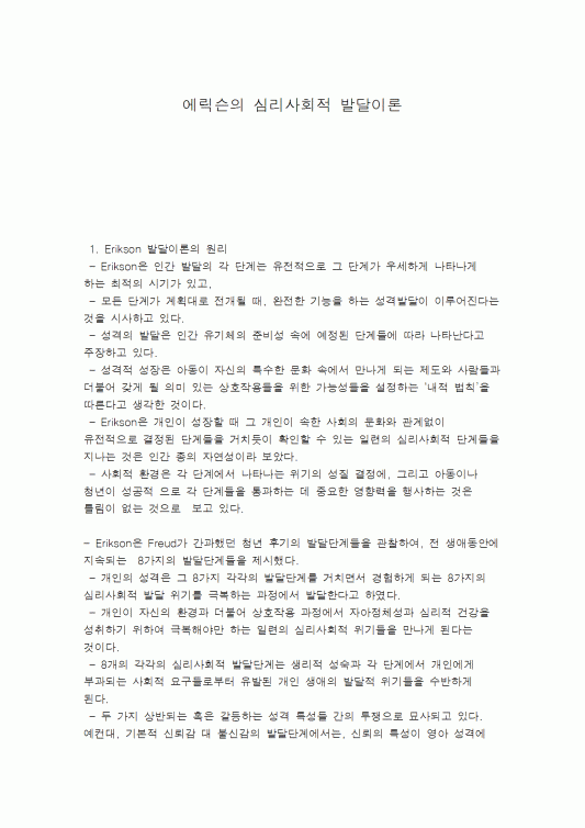 [사회과학] 에릭슨(Erikson)의 심리사회적 발달이론
