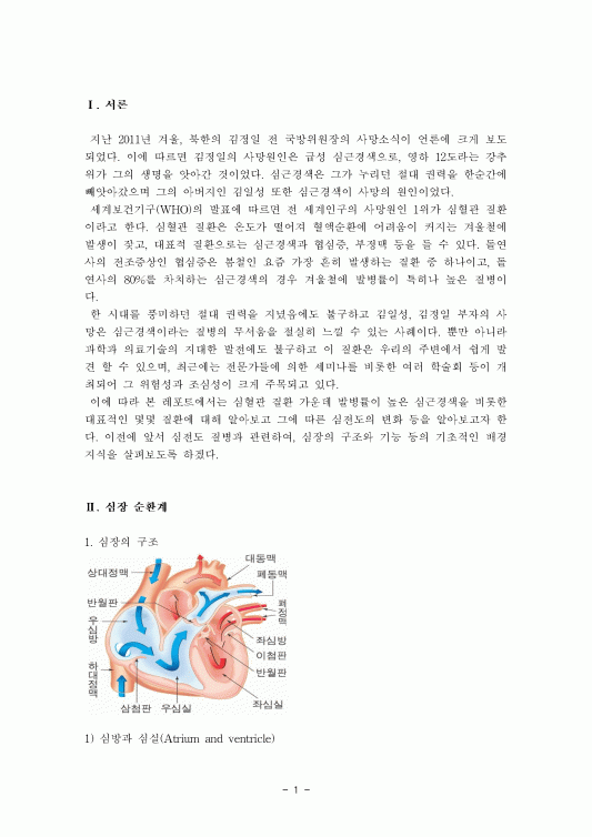 심전도와 심전도로 보는 심질환