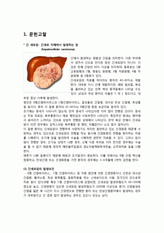 간세포암 문헌고찰(1)2